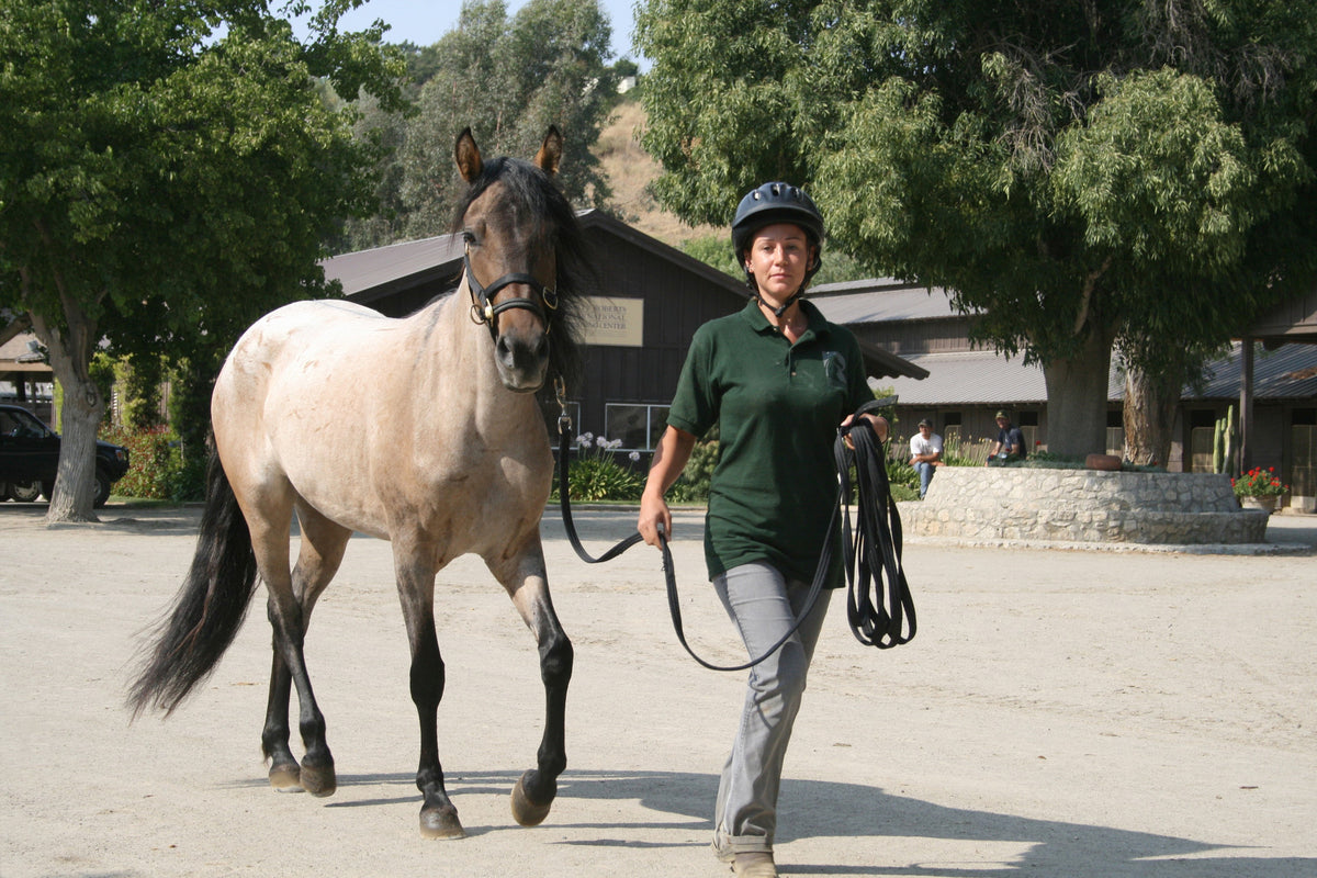 Courses & Programs Tagged "Dually Halter" - Monty Roberts Shop