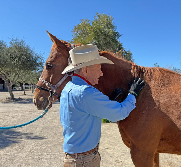 HandsOn Grooming Gloves - Monty Roberts Shop