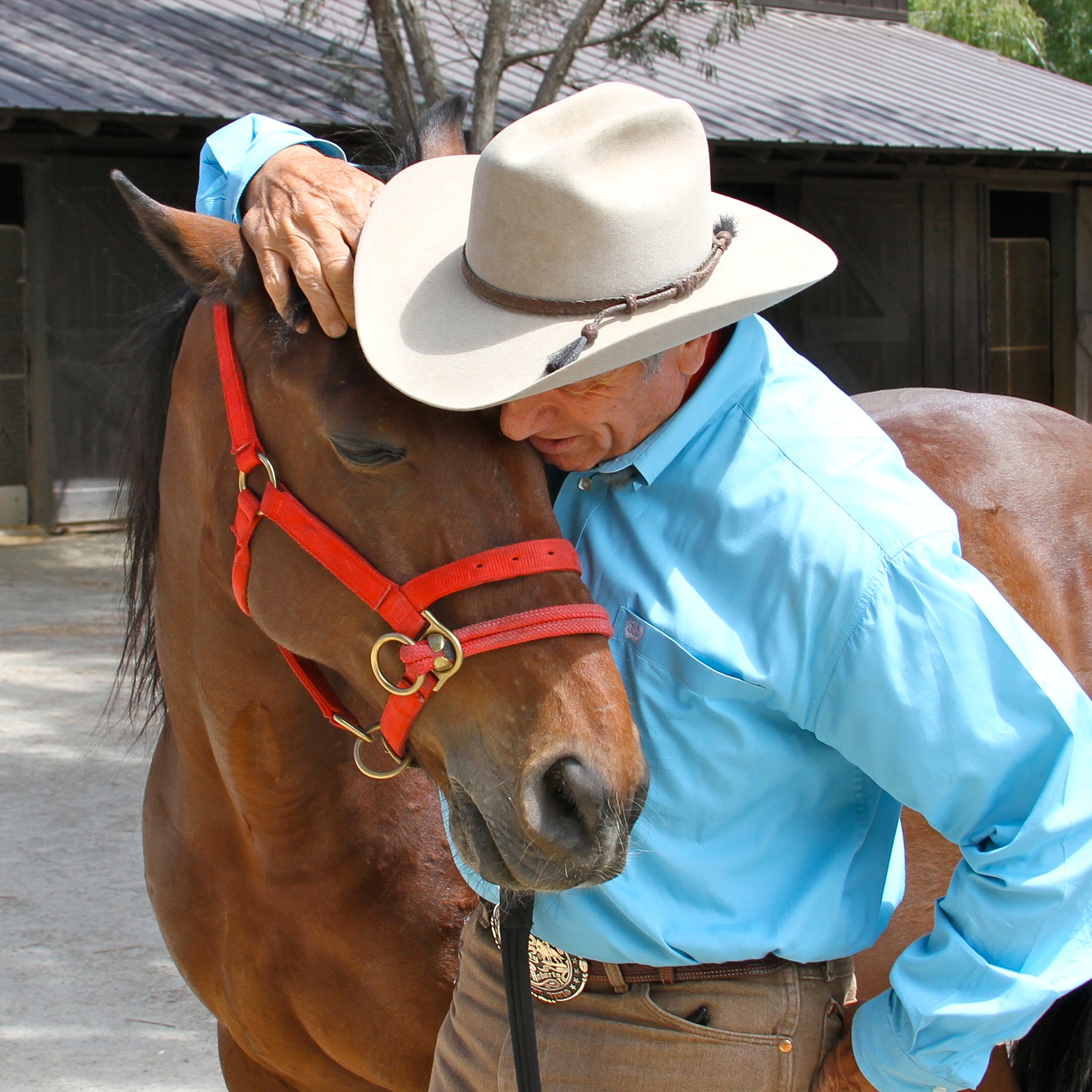 Welcome to Monty Roberts Storefront